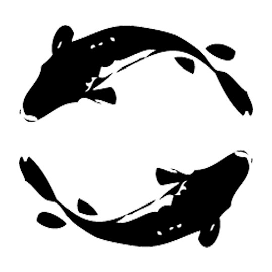 Home | Mari Hashimoto, LCSW